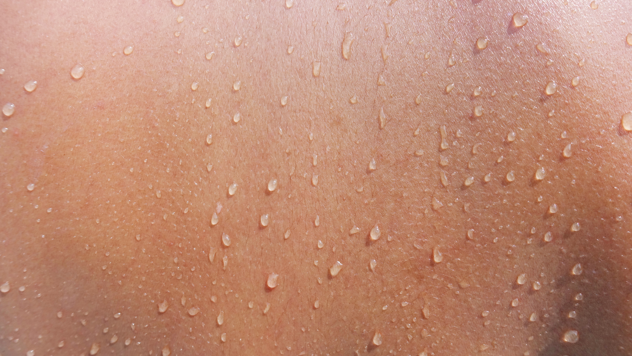 The Skin + Nervous System Connection – Alchemy Code