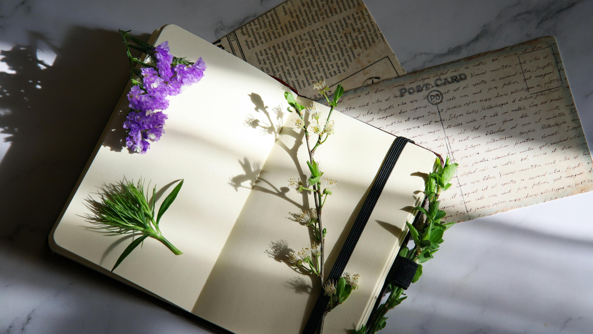 4 Facts Friday: Your Skin and Soul Are Begging for a Screen Detox ...