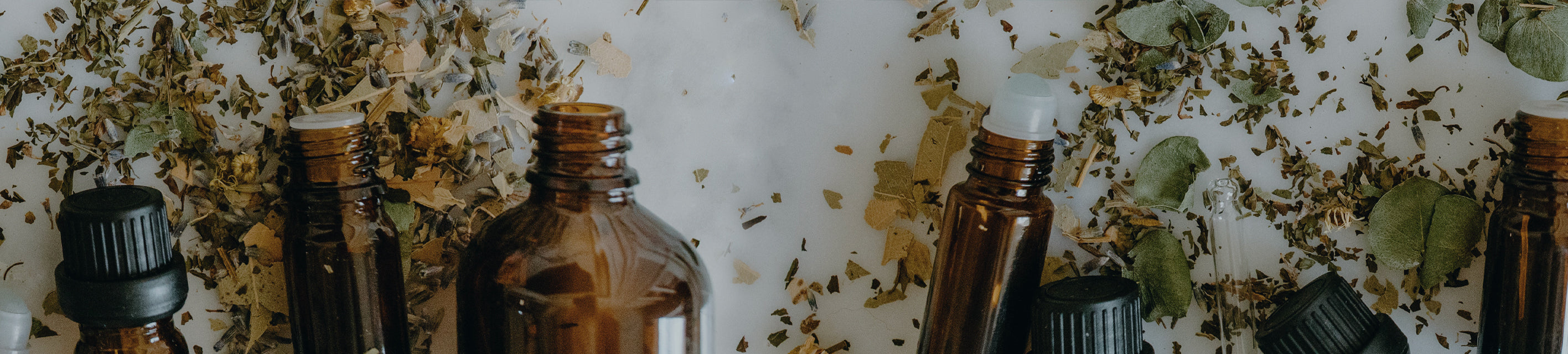 Herbal Alchemy – Alchemy Code