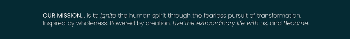 Alchemy Code - Natural Skincare for Effortless Beauty – Alchemy Code LLC